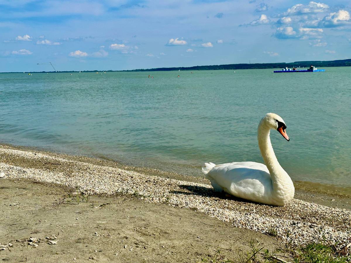 Foto: Balaton neboli Maďarské moře autem: Kudy jet, ceny paliv i dálnic ...